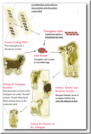 Goats milk used for blood thinning drugs..DNA and Proteins at work ...
